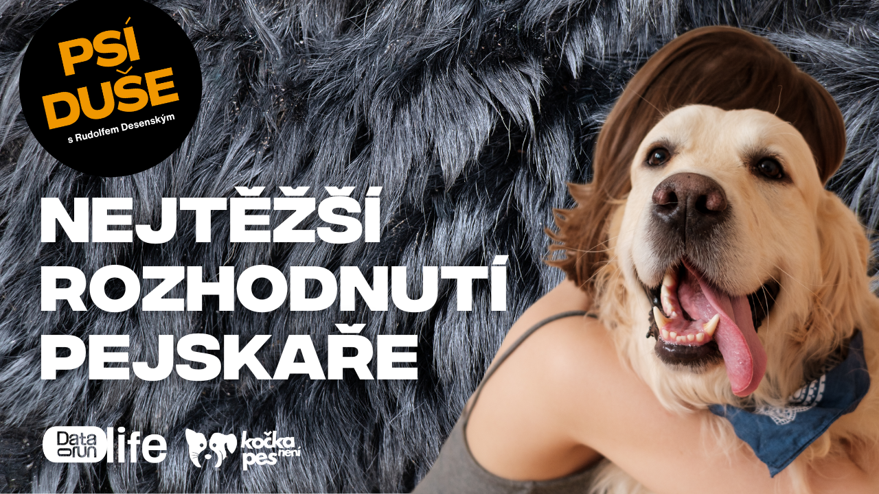Psi a stáří: Jak poznat první změny, přizpůsobit péči a udržet psa v ...