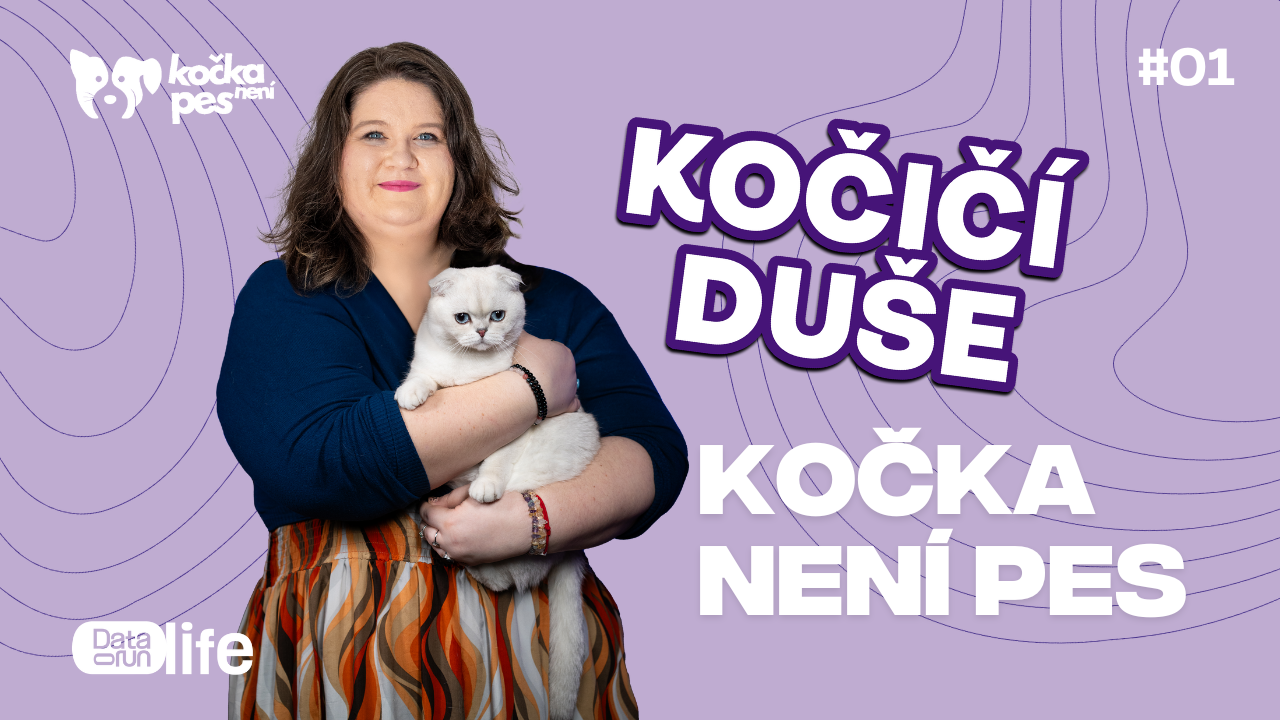 Kočka není pes. Příběh kočičí psycholožky Kláry Nevečeřalové