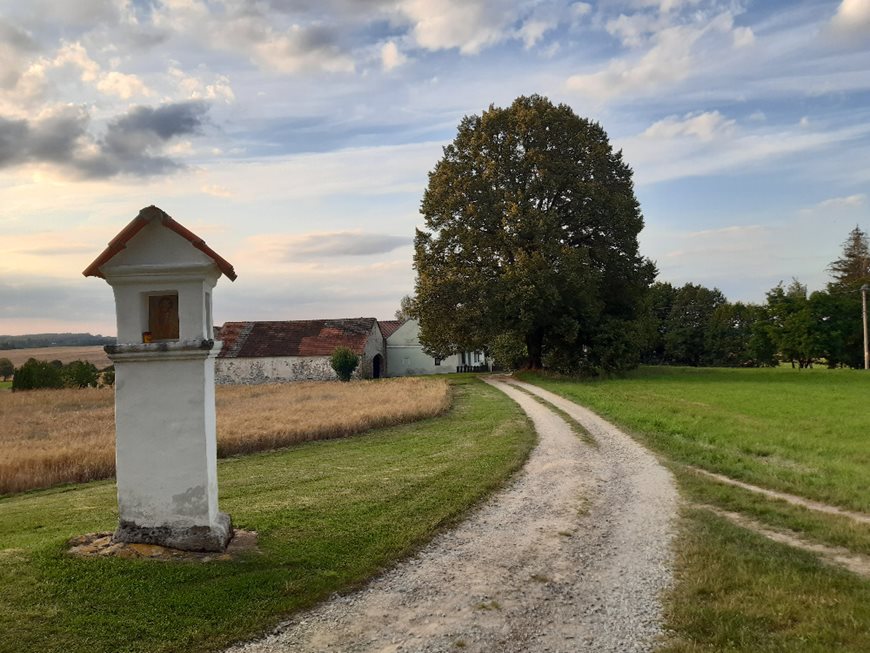 Strom roku je ve finále. O titul bojuje deset stromů z osmi krajů ...