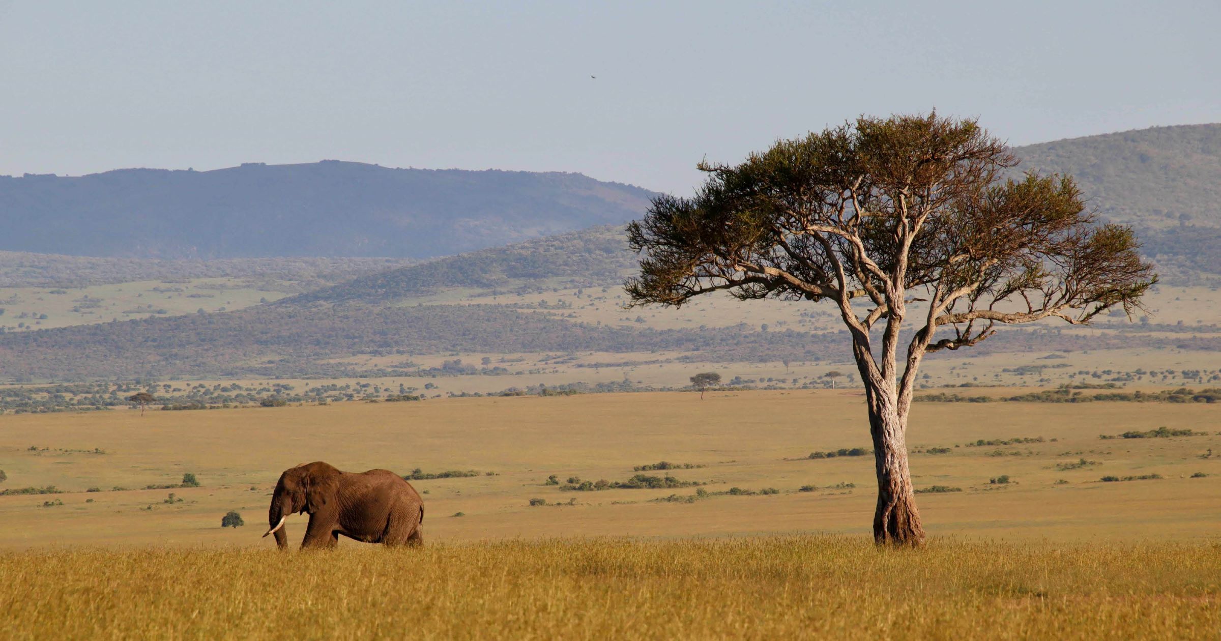 In the Search for Water